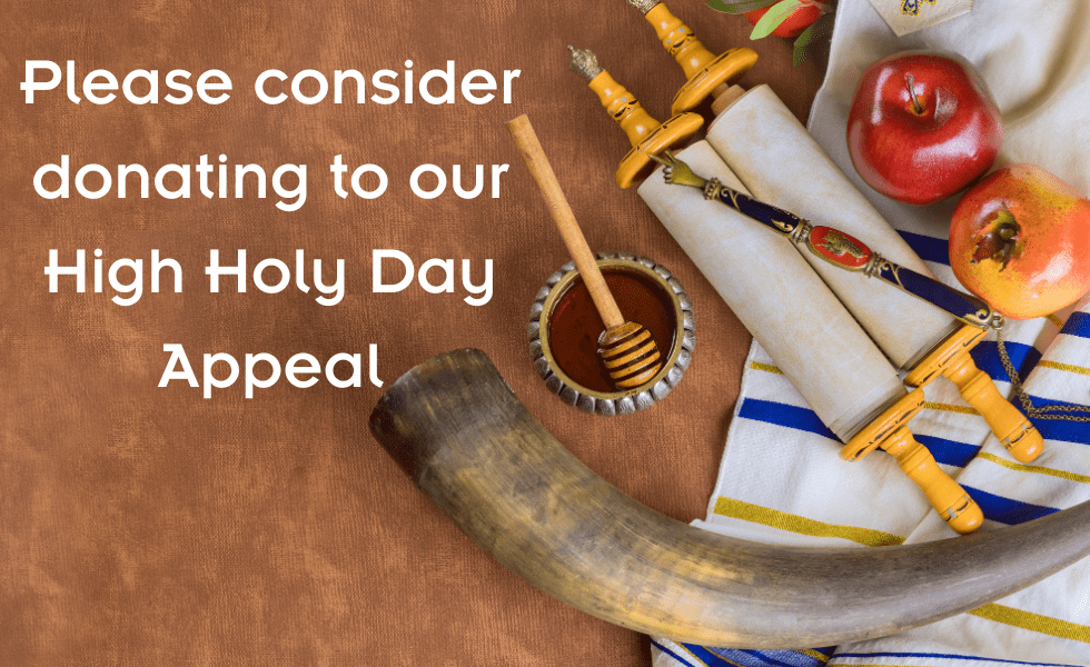 High Holy Days Campaign | Temple Beth Tikvah